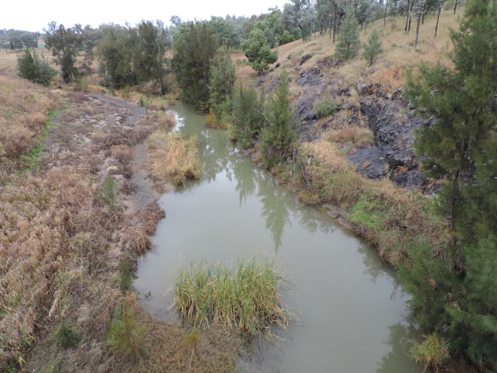 Australia’s frontier killings still escape official memory – Australian ...